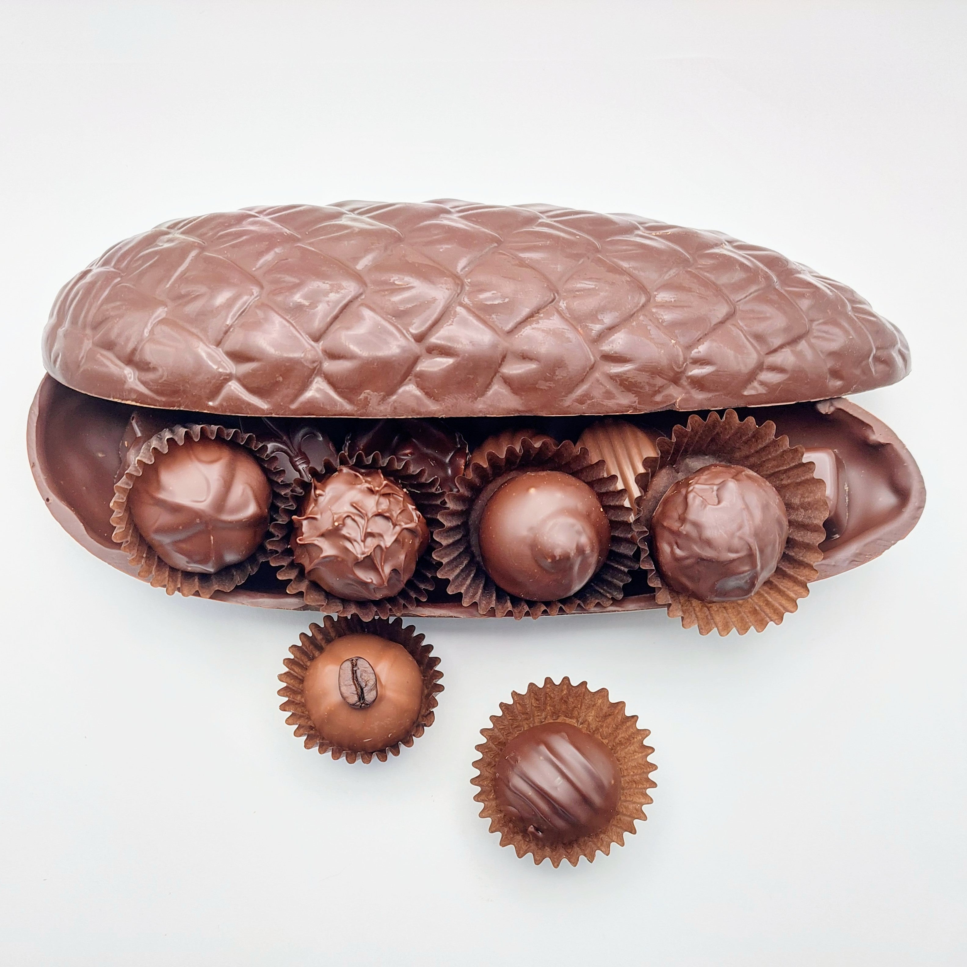Chocolate violin filled with 7 chocolates – ChocolatsSuisses